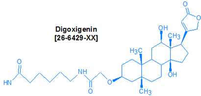 Digoxigenin Oligo Modifications from Gene Link
