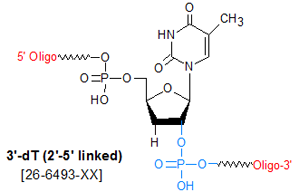 3'-dT (2'-5' linked) Oligo Modifications from Gene Link