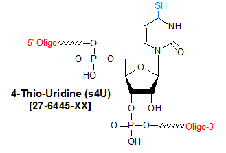 Thio-4-rU (s4U) Oligo Modifications from Gene Link