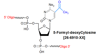 5-formyl dC Oligo Modifications from Gene Link