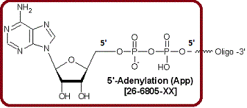 Adenylation-5' (rApp) Oligo Modifications from Gene Link
