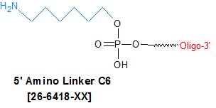 Amino Linker C6 Oligo Modifications from Gene Link