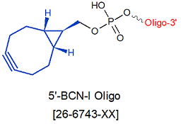 BCN-I (Bicyclononyne) Oligo Modifications from Gene Link