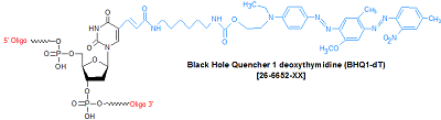 BHQ-1-dT Oligo Modifications from Gene Link