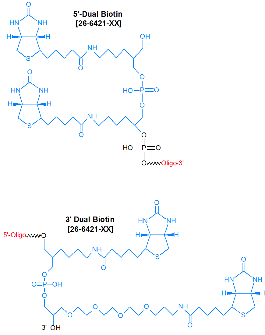 Biotin Multi Oligo Modifications from Gene Link