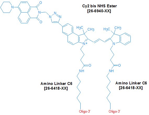 Cy2 NHS Oligo Modifications from Gene Link