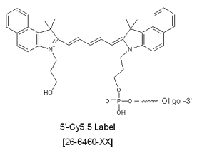 Cy5.5 Oligo Modifications from Gene Link