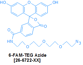 Fam-TEG Azide Oligo Modifications from Gene Link