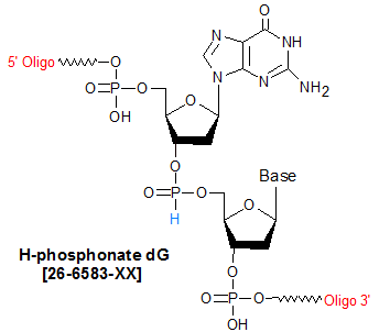 H-Phosphonate dG. dG(H-p) Oligo Modifications from Gene Link