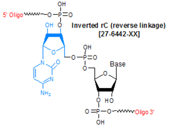 Inverted rC (reverse linkage) Oligo Modifications from Gene Link