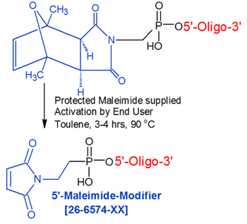 Maleimide (5') Oligo Modifications from Gene Link