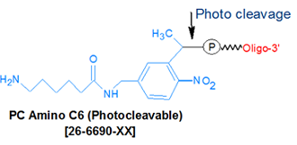 PC Amino C6 (Photocleavable) Oligo Modifications from Gene Link