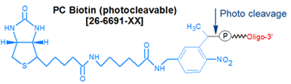 PC Biotin (photocleavable) Oligo Modifications from Gene Link