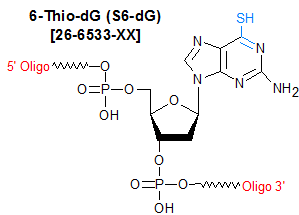 Thio 6-dG (s6dG) Oligo Modifications from Gene Link