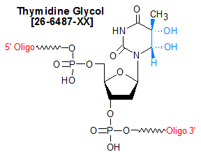 Thymidine Glycol Oligo Modifications from Gene Link
