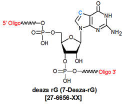 deaza rG (7 deaza rG) Oligo Modifications from Gene Link