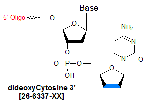 ddC-3' Oligo Modifications from Gene Link