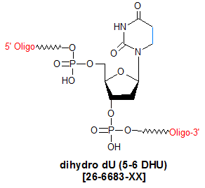 dihydro dU (5-6 DHdU) Oligo Modifications from Gene Link