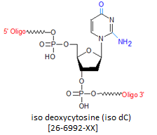 iso dC Oligo Modifications from Gene Link